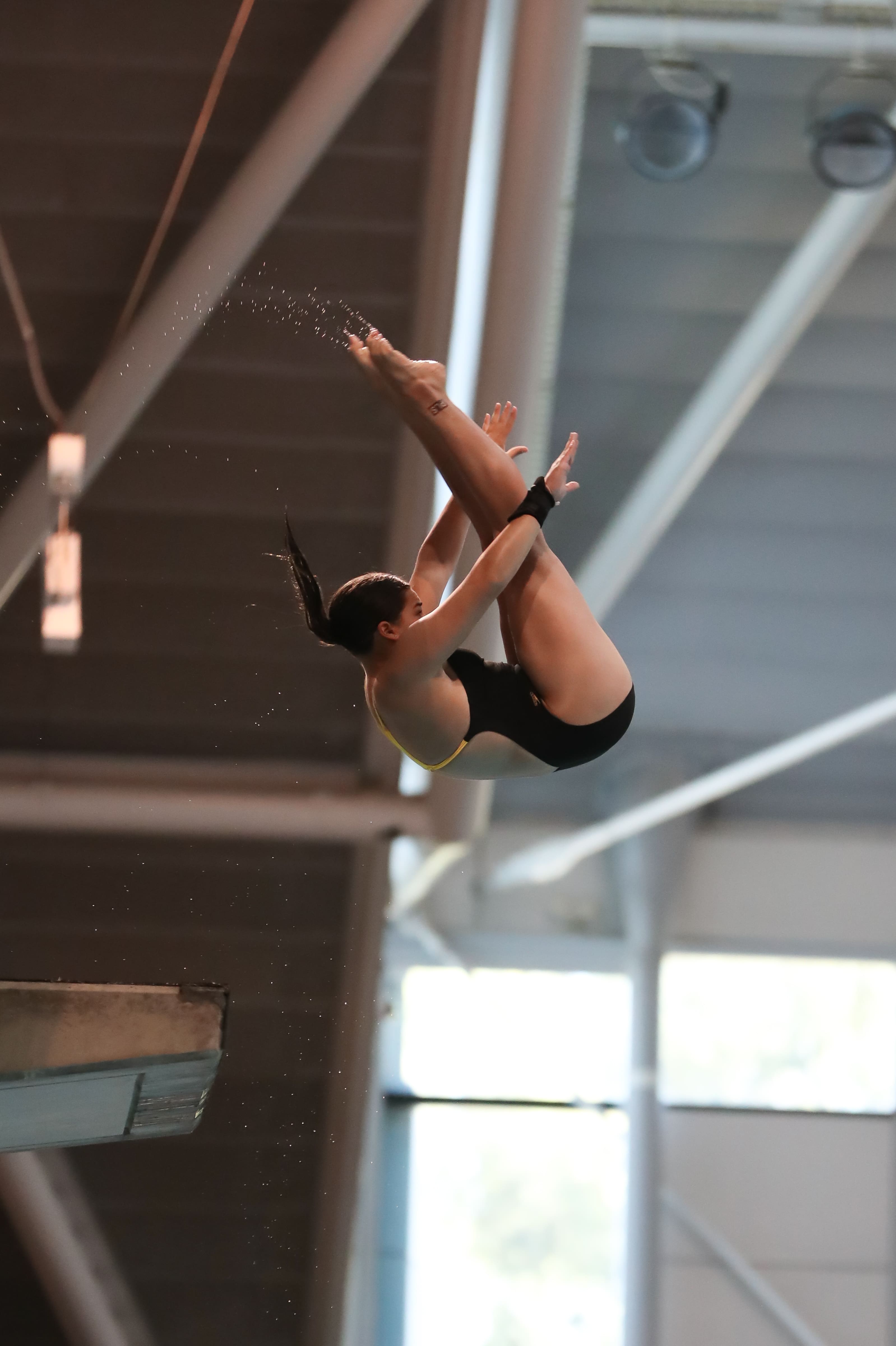 Learn to swim and dive classes - Abbotsleigh | Empowering young women ...