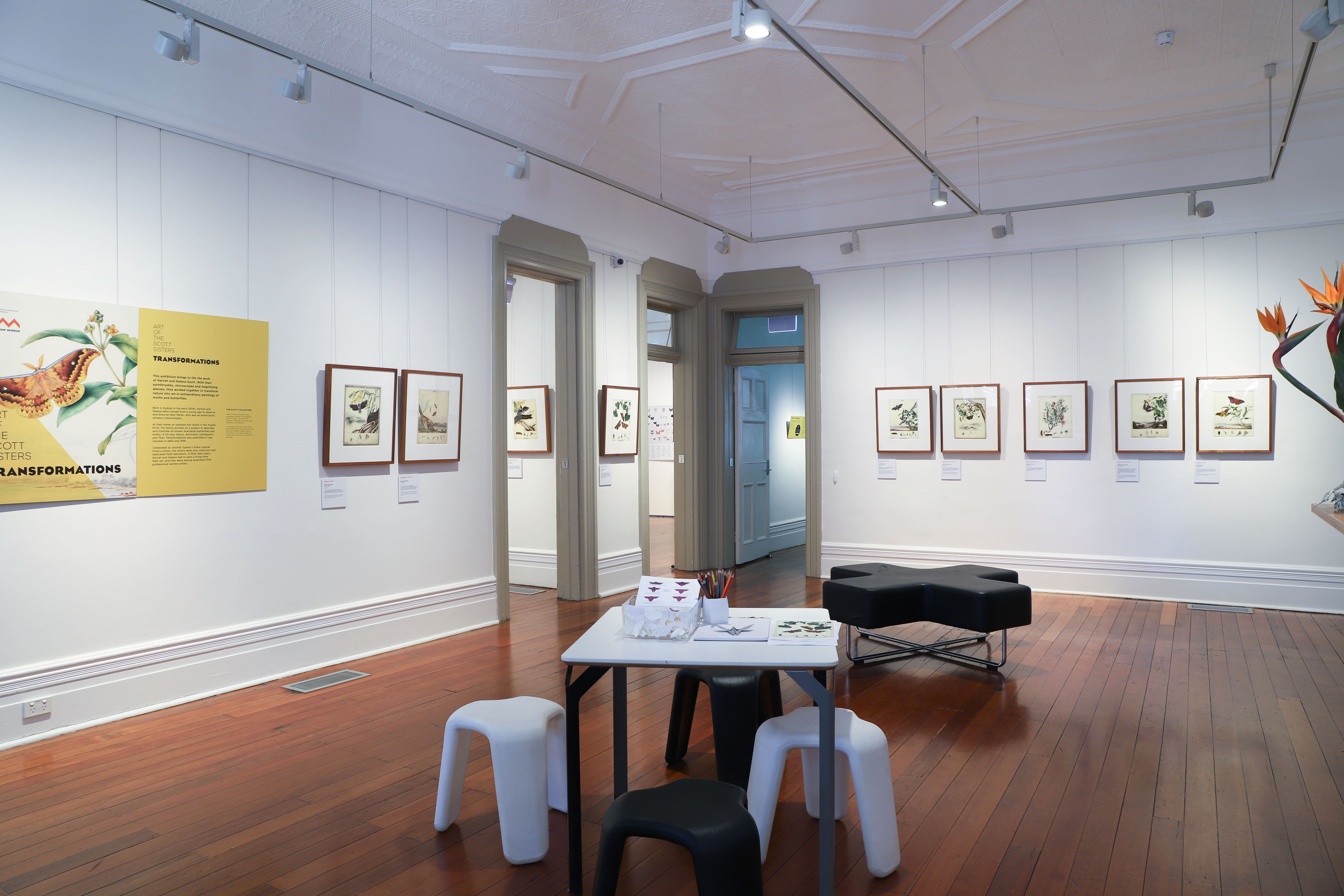 GCS Gallery Transformations: Art of the Scott Sisters - Abbotsleigh ...