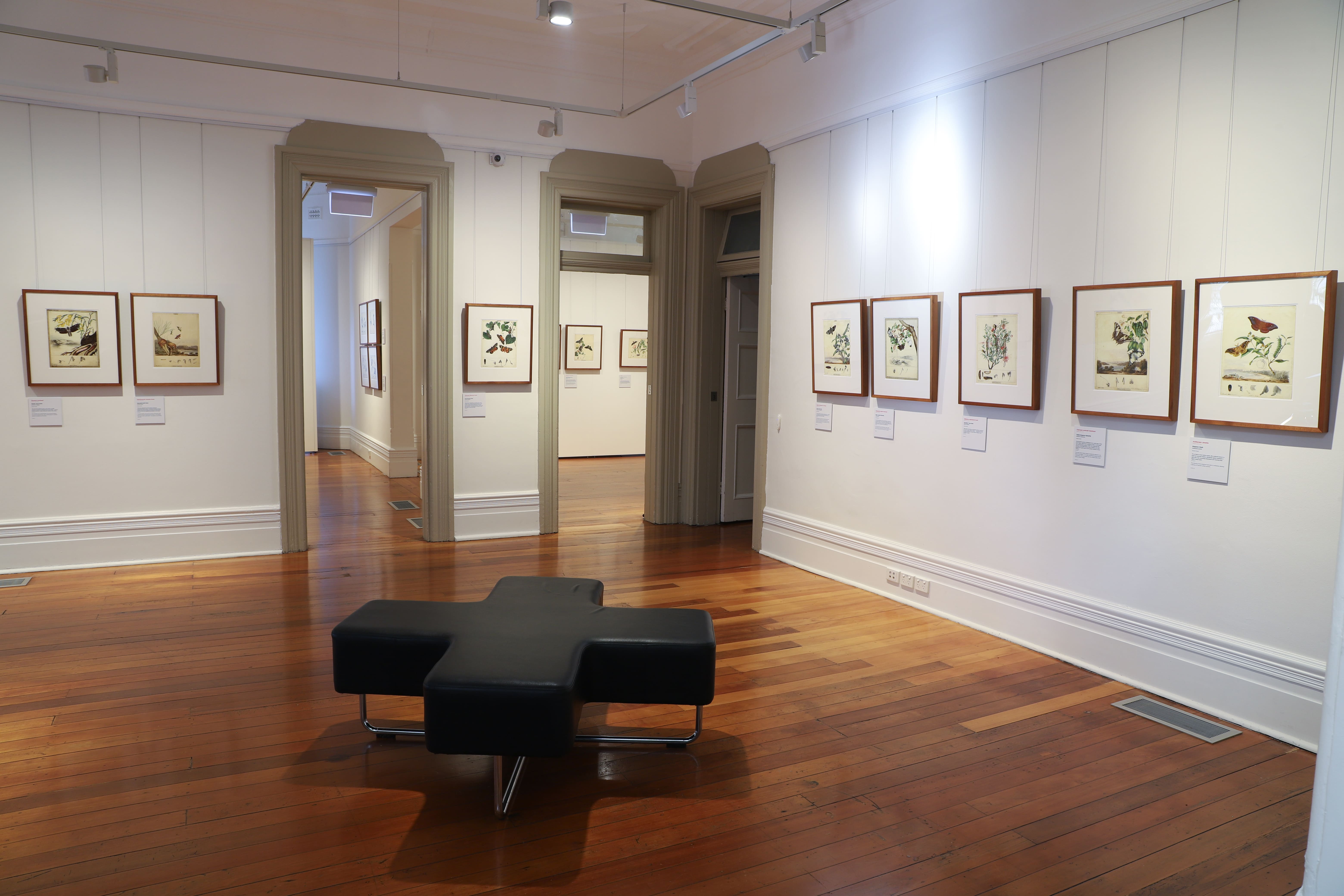 GCS Gallery Transformations: Art of the Scott Sisters - Abbotsleigh ...