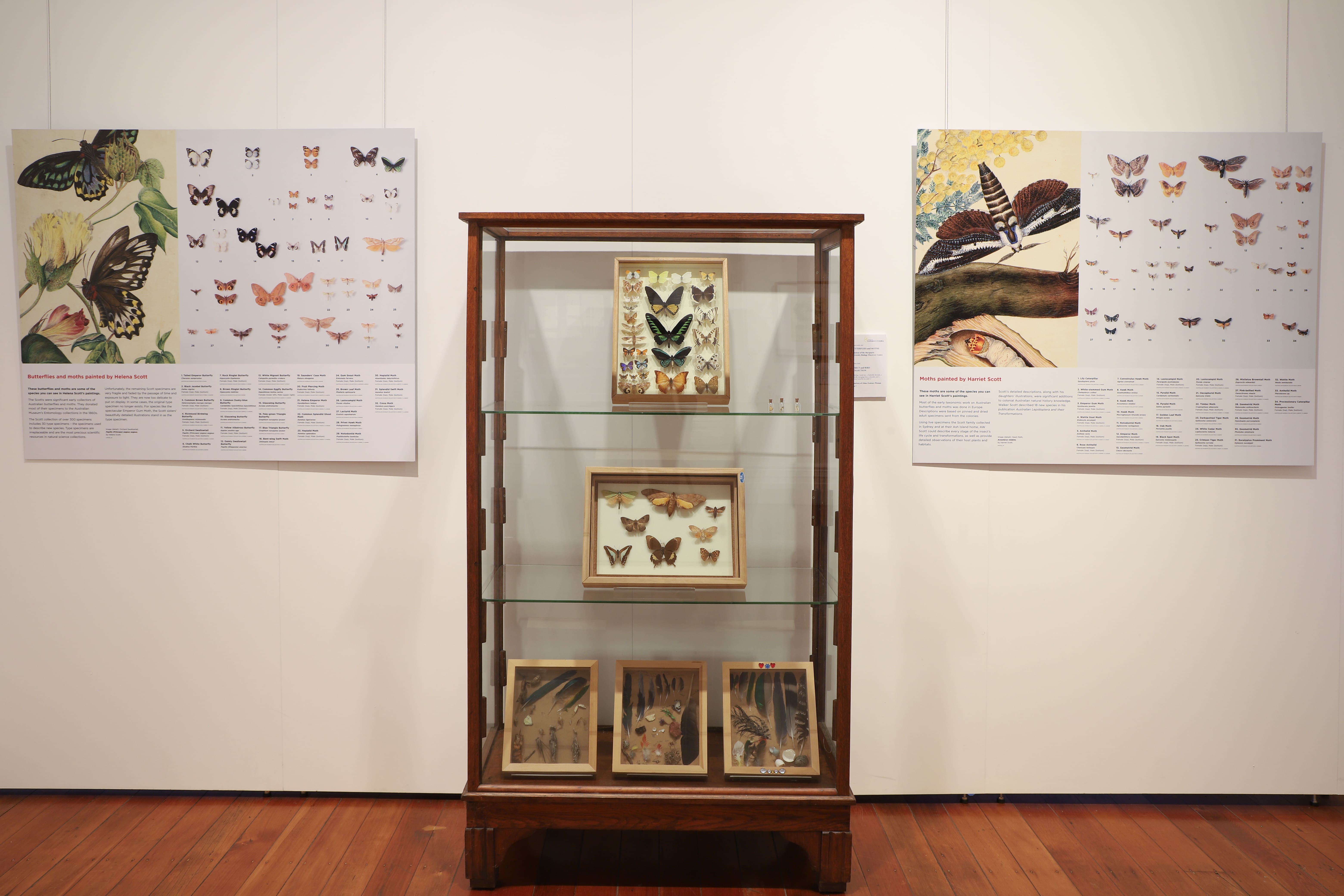 GCS Gallery Transformations: Art of the Scott Sisters - Abbotsleigh ...