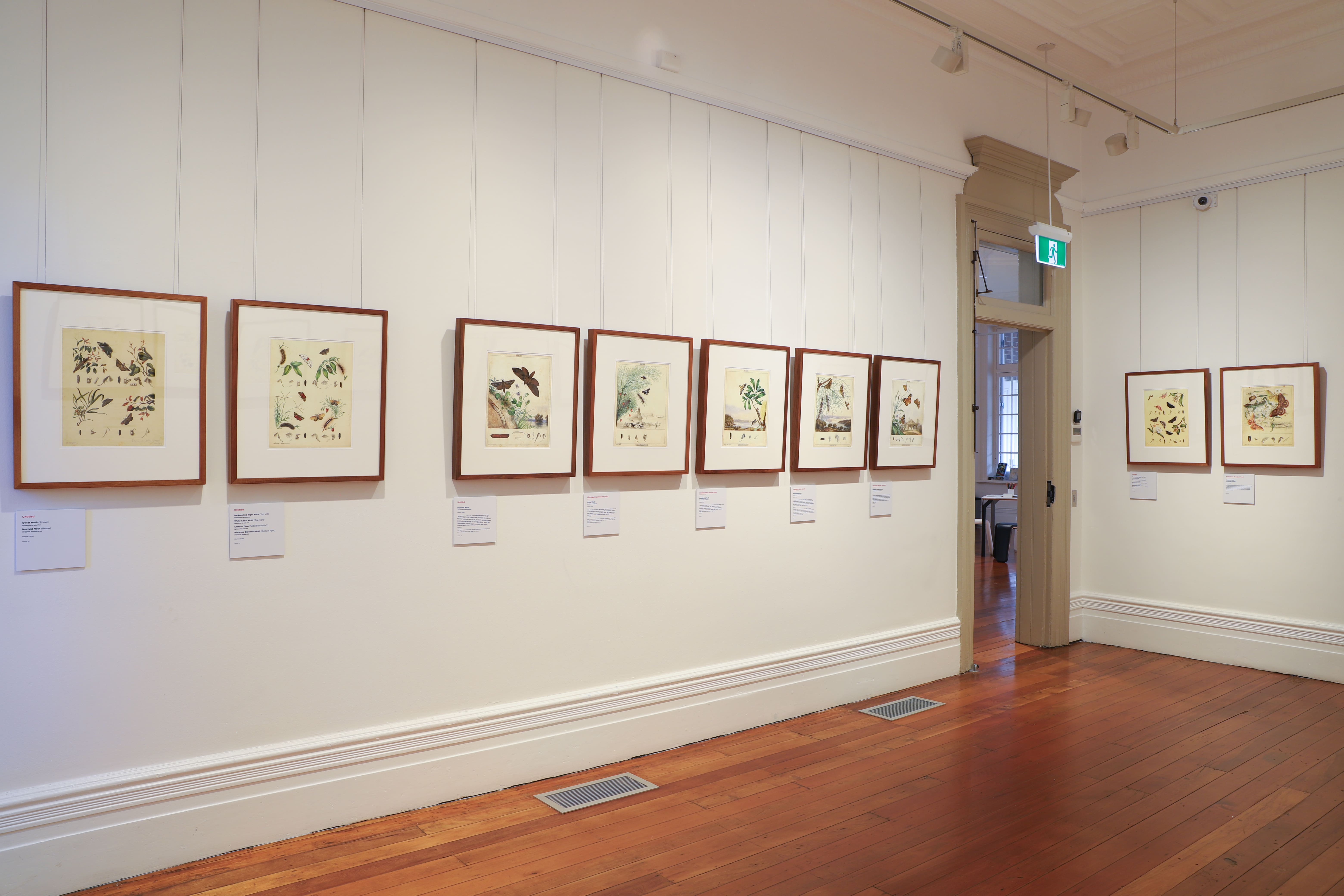 GCS Gallery Transformations: Art of the Scott Sisters - Abbotsleigh ...