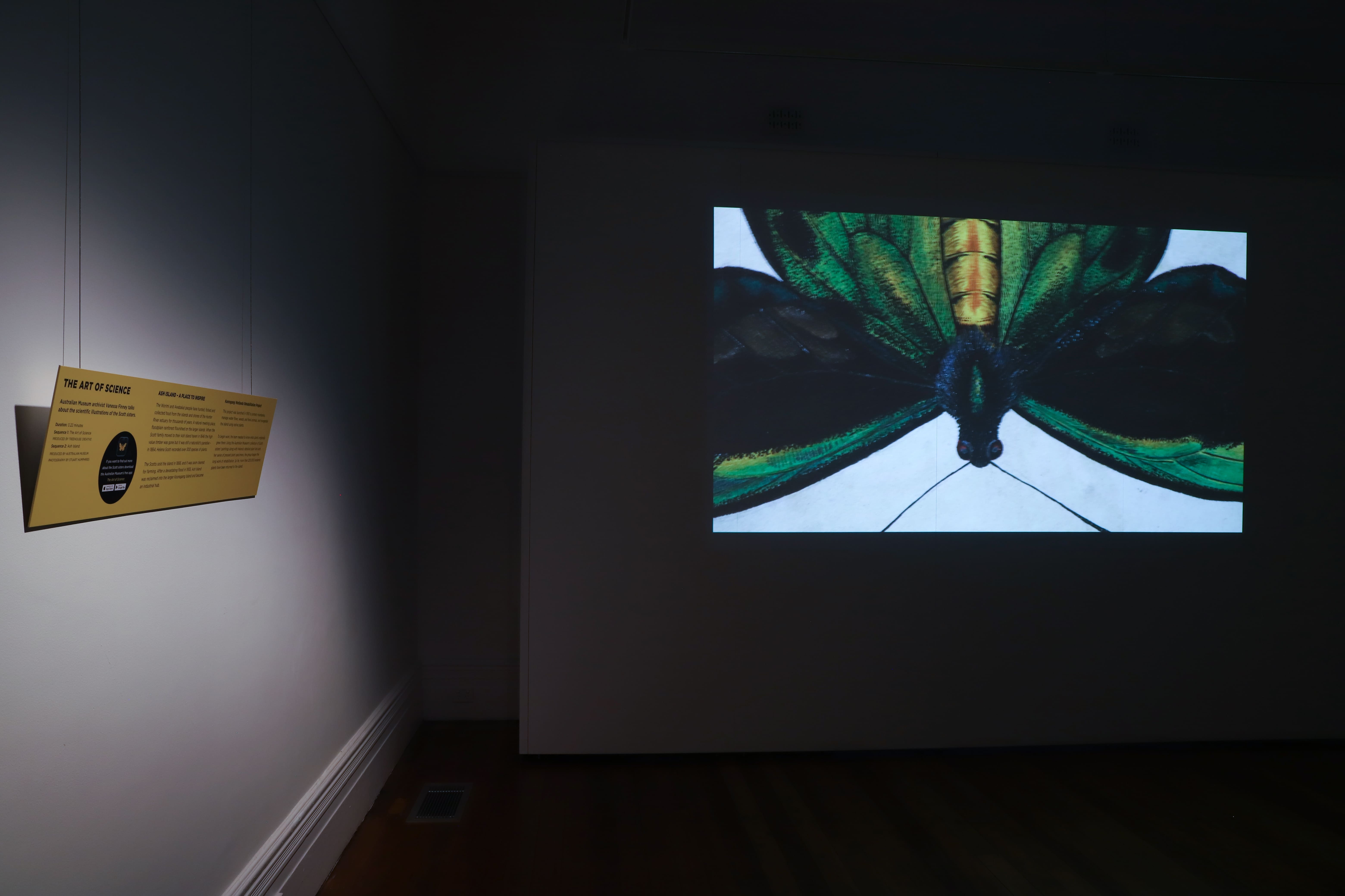 GCS Gallery Transformations: Art of the Scott Sisters - Abbotsleigh ...