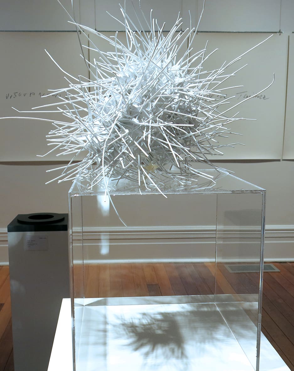 GCS Gallery Sentient Visibility - Abbotsleigh | Empowering young women ...