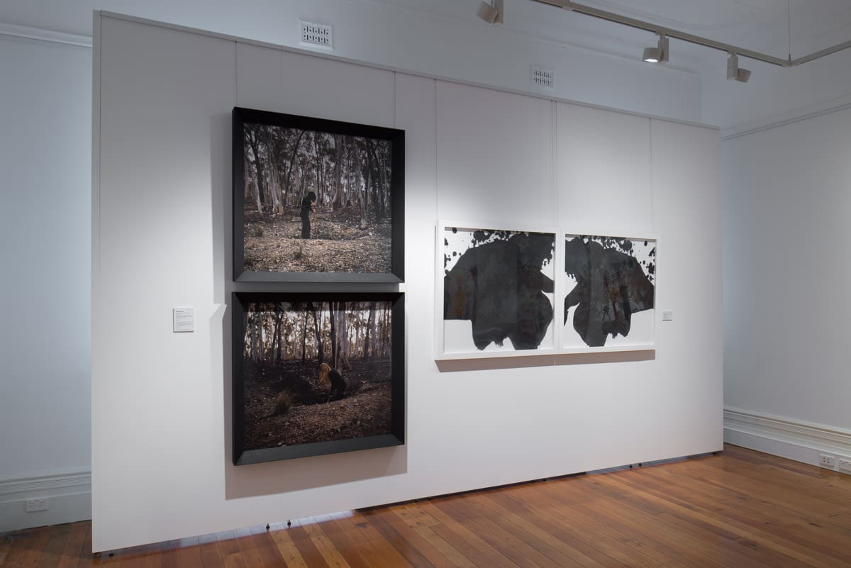 GCS Art Award 2016 Finalists - Abbotsleigh | Empowering young women ...