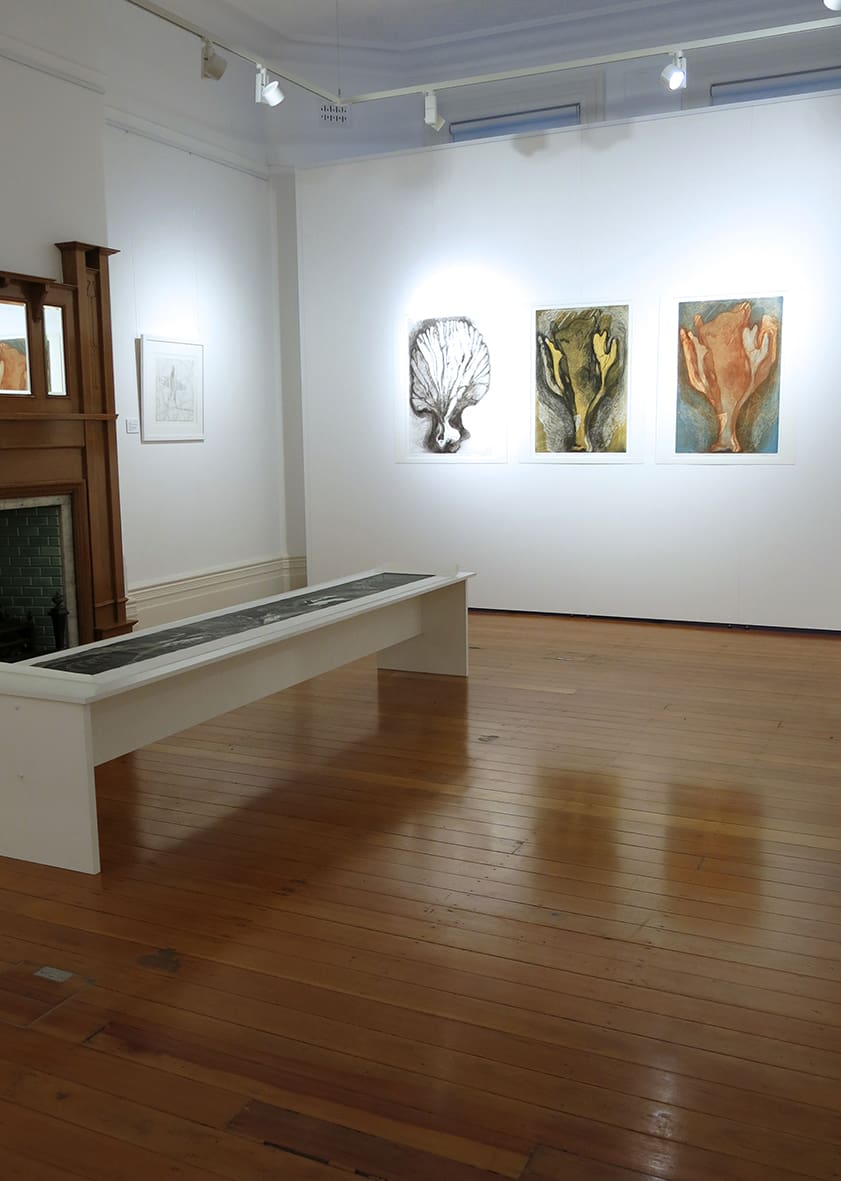 GCS Gallery New and Old Territories 2014 - Abbotsleigh | Empowering ...