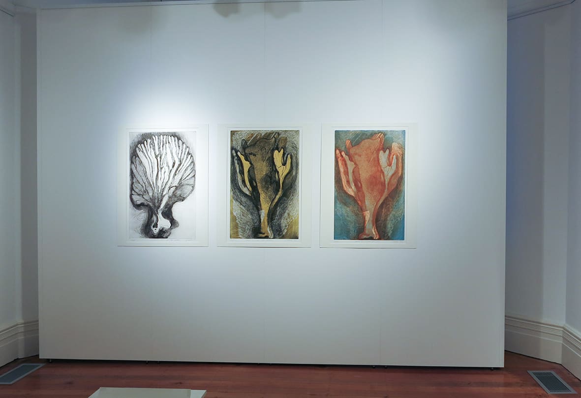 GCS Gallery New and Old Territories 2014 - Abbotsleigh | Empowering ...