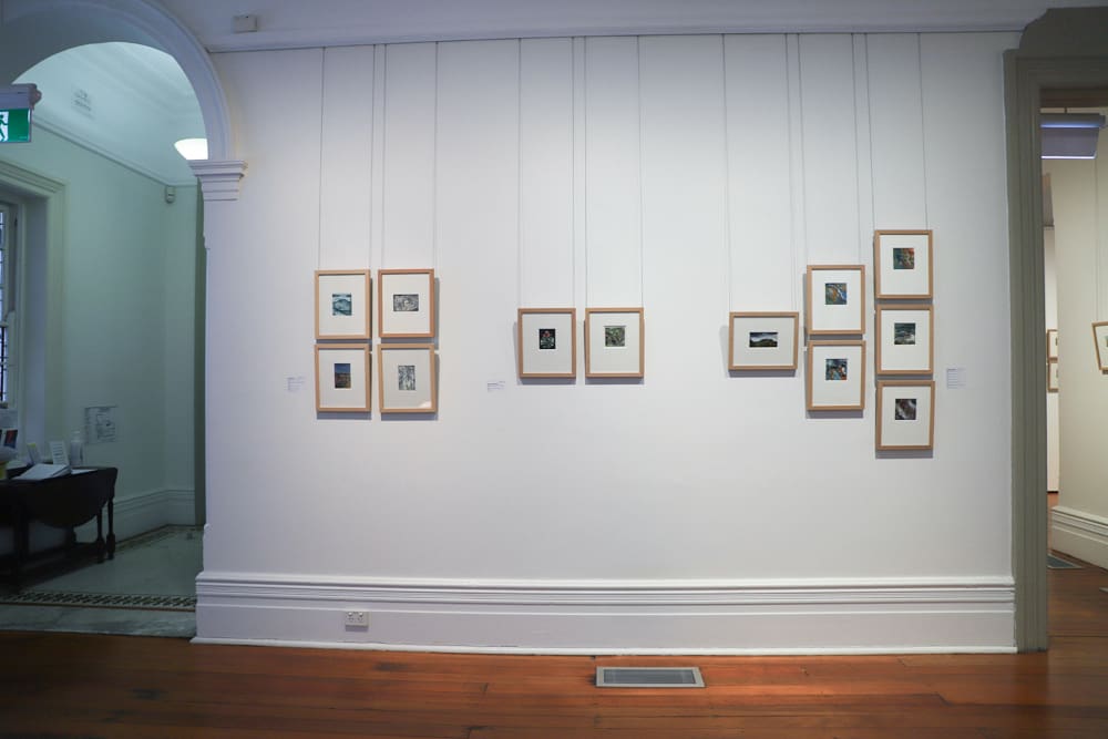 GCS Gallery - Small Matters 2024 - Abbotsleigh | Empowering young women ...