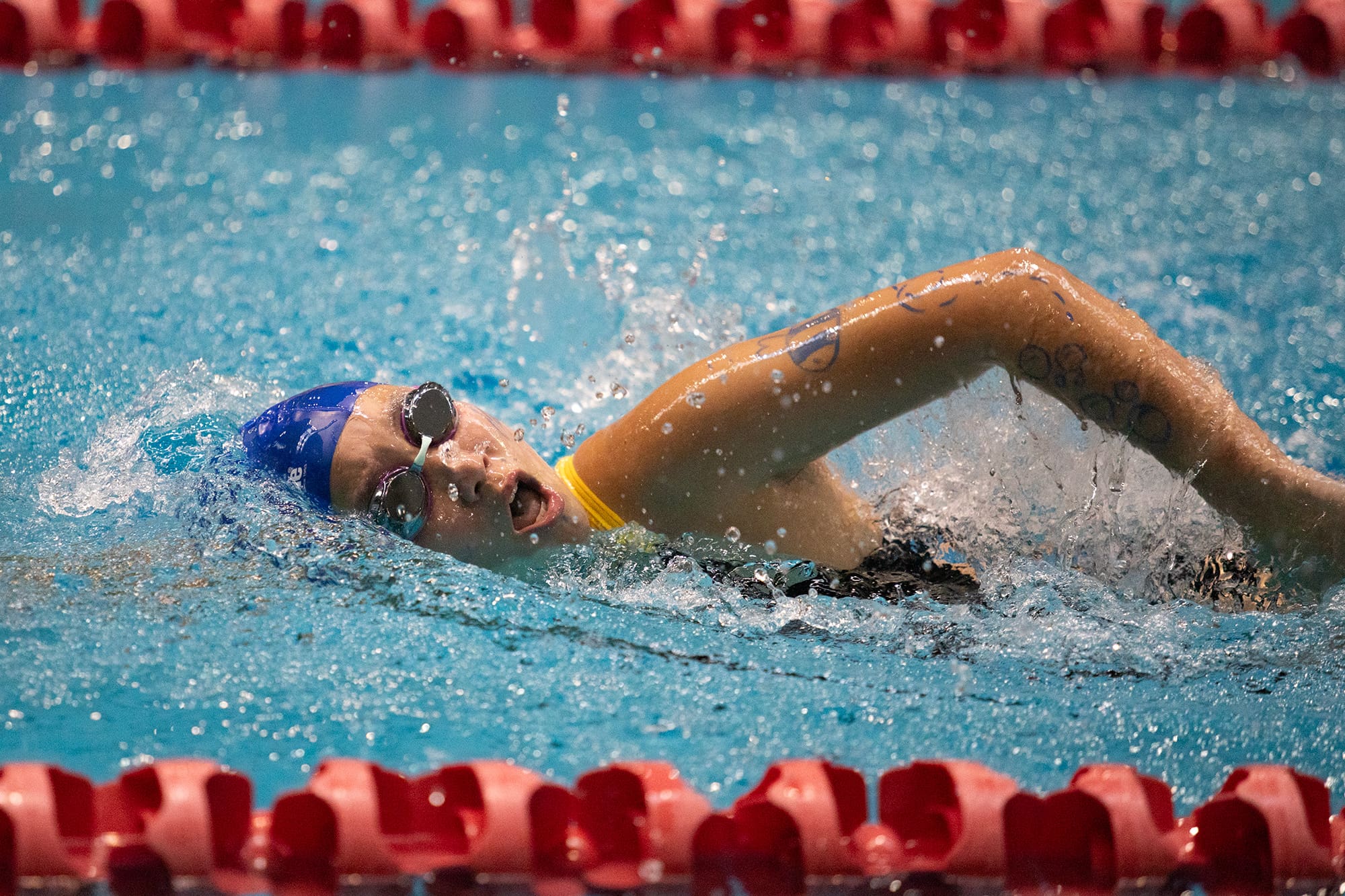 In Pictures: 2025 Senior Swimming Carnival - Abbotsleigh | Empowering ...