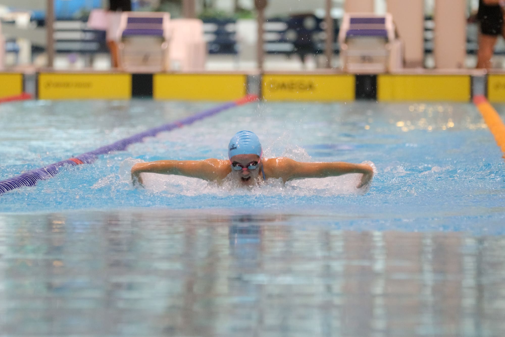 In Pictures: 2025 Senior Swimming Carnival - Abbotsleigh | Empowering ...